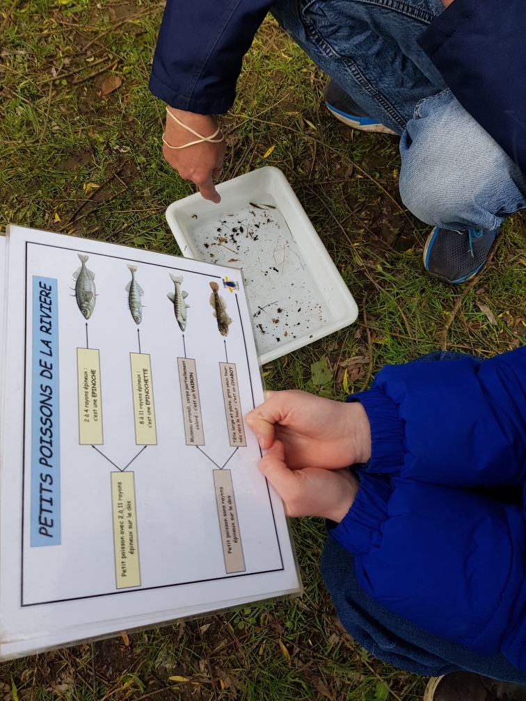 Niveau 6ème : Découverte de la biodiversité - Institution Saint ...