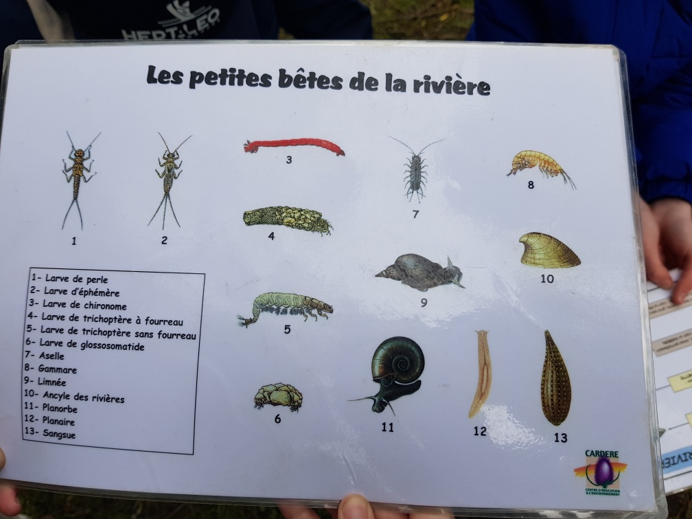 Niveau 6ème : Découverte de la biodiversité - Institution Saint ...